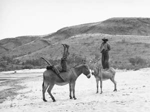 New exhibition reveals Central Australian frontier